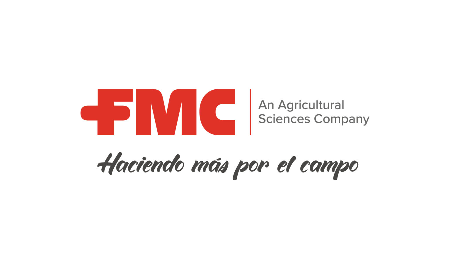 FMC – Seistudio